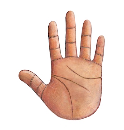 Hand Shape Product Page | Earth School